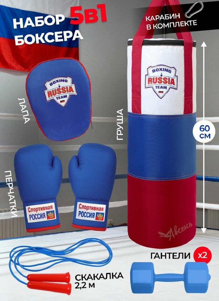 Груша боксерская детская 60см набор 5 в 1, перчатки, лапа для бокса, гантели 2шт, скакалка 2,2м, Россия