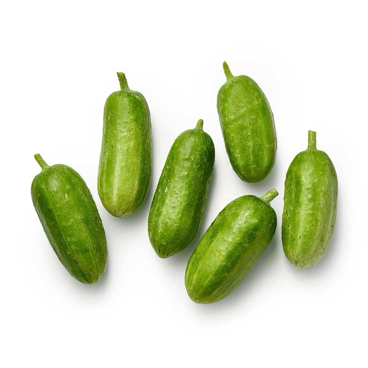 Огурцы бакинские на пластиковой подложке «Белый патрон», вес нетто 300 гр