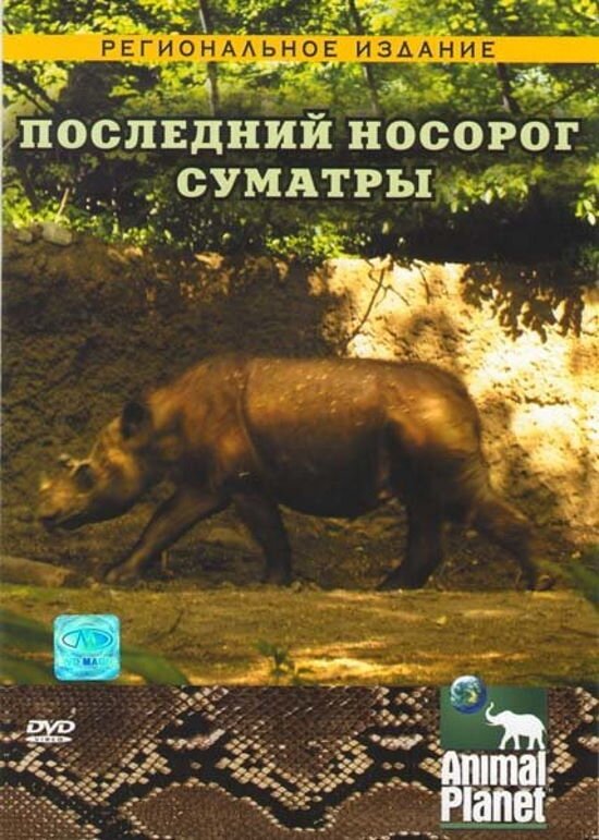 Discovery. Последний носорог Суматры. Региональная версия DVD-video (DVD-box)