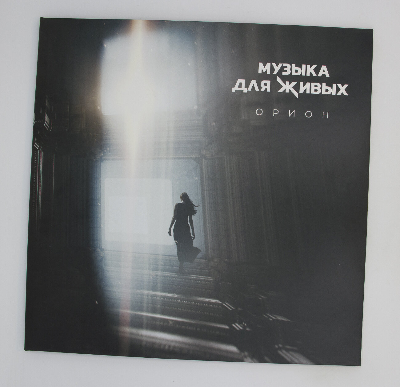 Виниловая пластинка Orion Neoclassic Music Project - Музыка Для Живых, 1xLP, NM