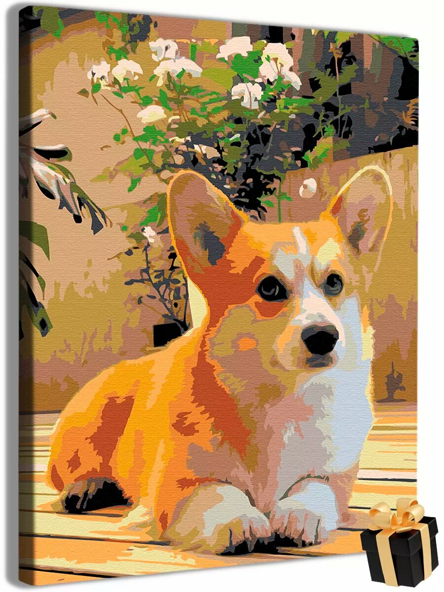 Картина по номерам Корги