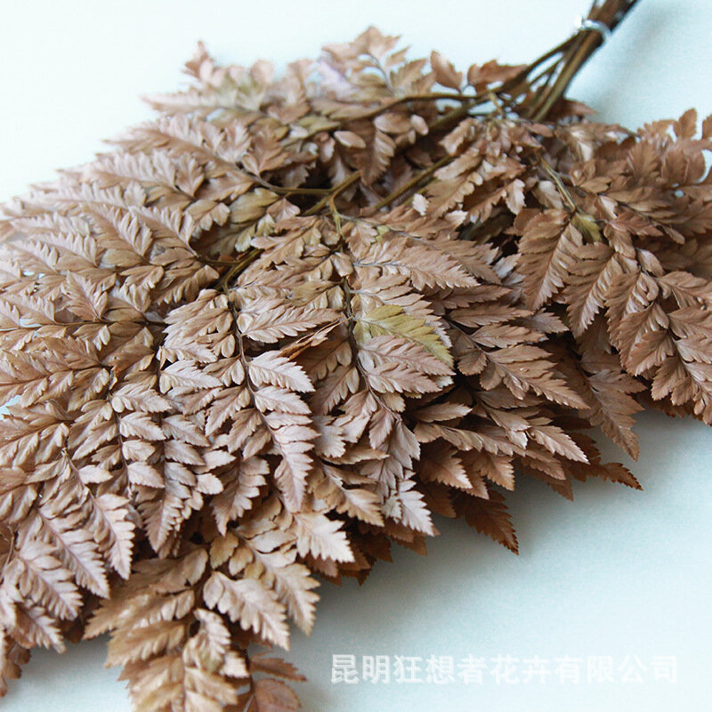 Набор для творчества Fancy "Рапсодия", ручная работа, засушенные цветы, 10 шт