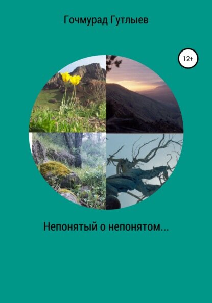 Непонятый о непонятом [Цифровая книга]