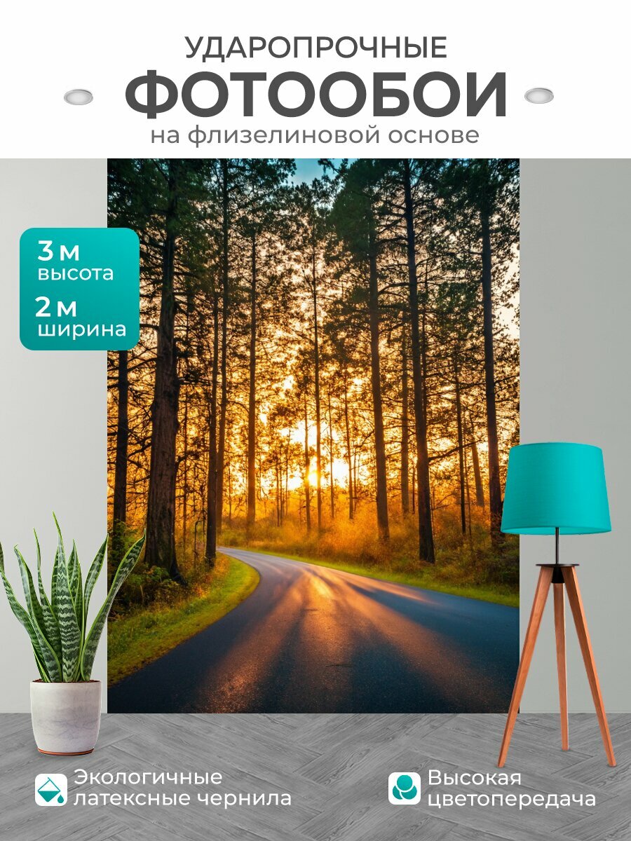 Фотообои моющиеся ударопрочные "Лесной пейзаж с дорогой, уходящей в дали, красивый закат" 200x300 см. флизелиновые на стену