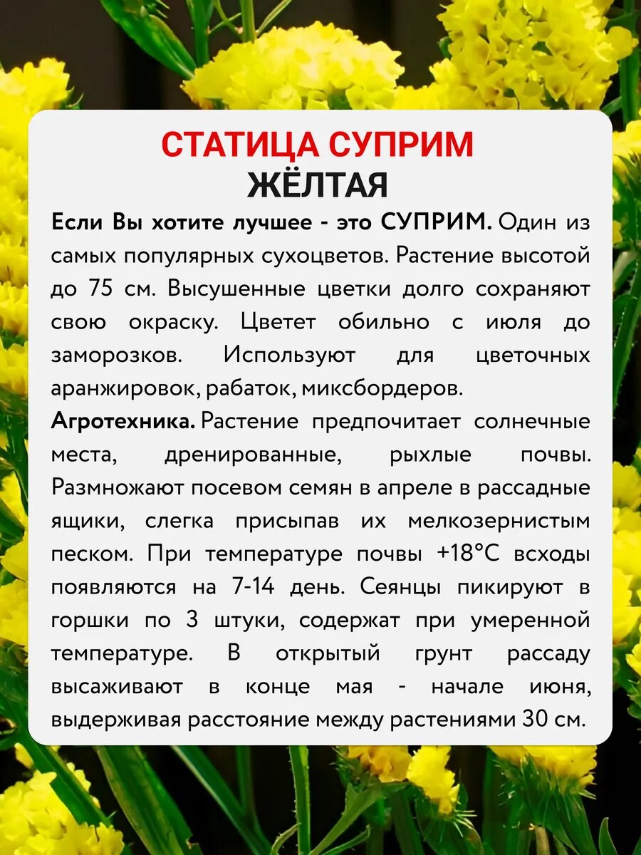 Семена цветов для сада Поиск Статица Суприм: карминная, синяя, желтая, розовая — фото 1