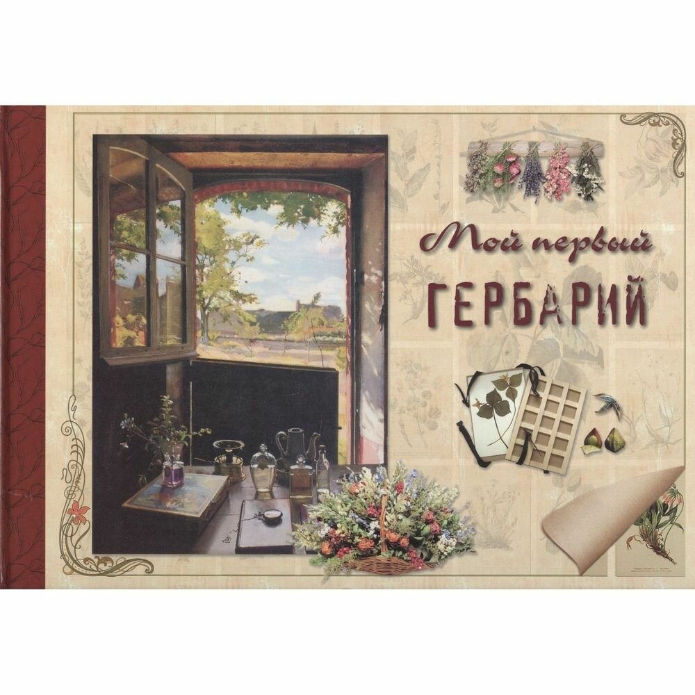 Книга Воскресный день Мой первый гербарий. 2019 год, Н. Астахова