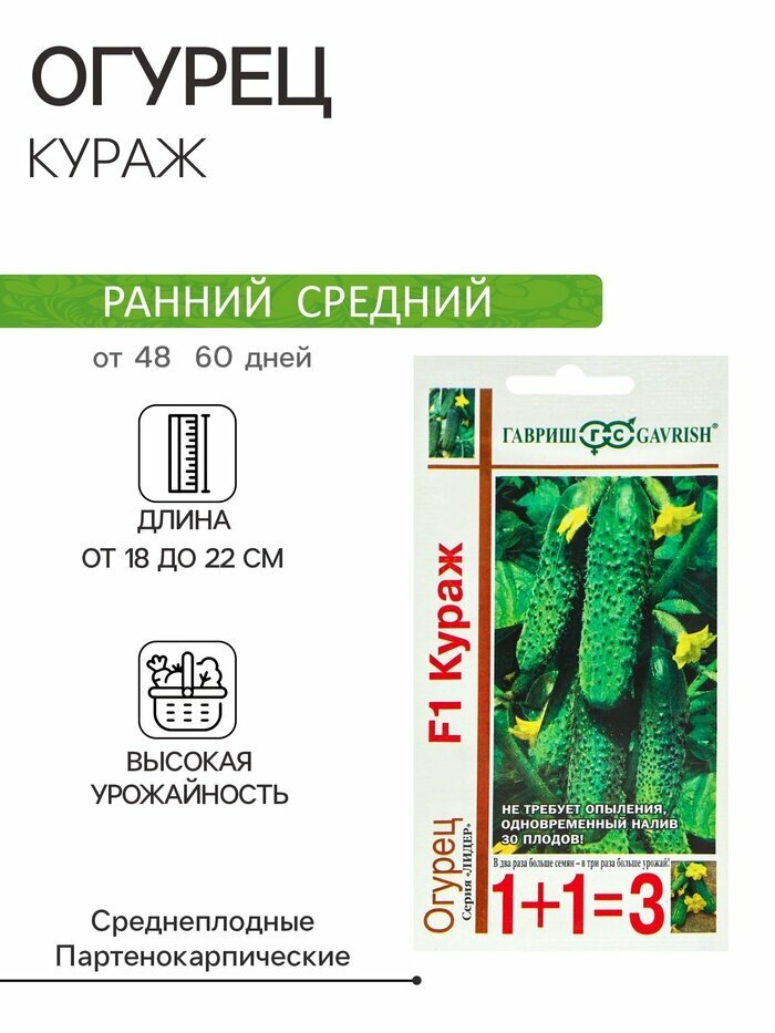 Семена Огурец «Кураж», F1, серия «1+1», 20 шт, «Гавриш»