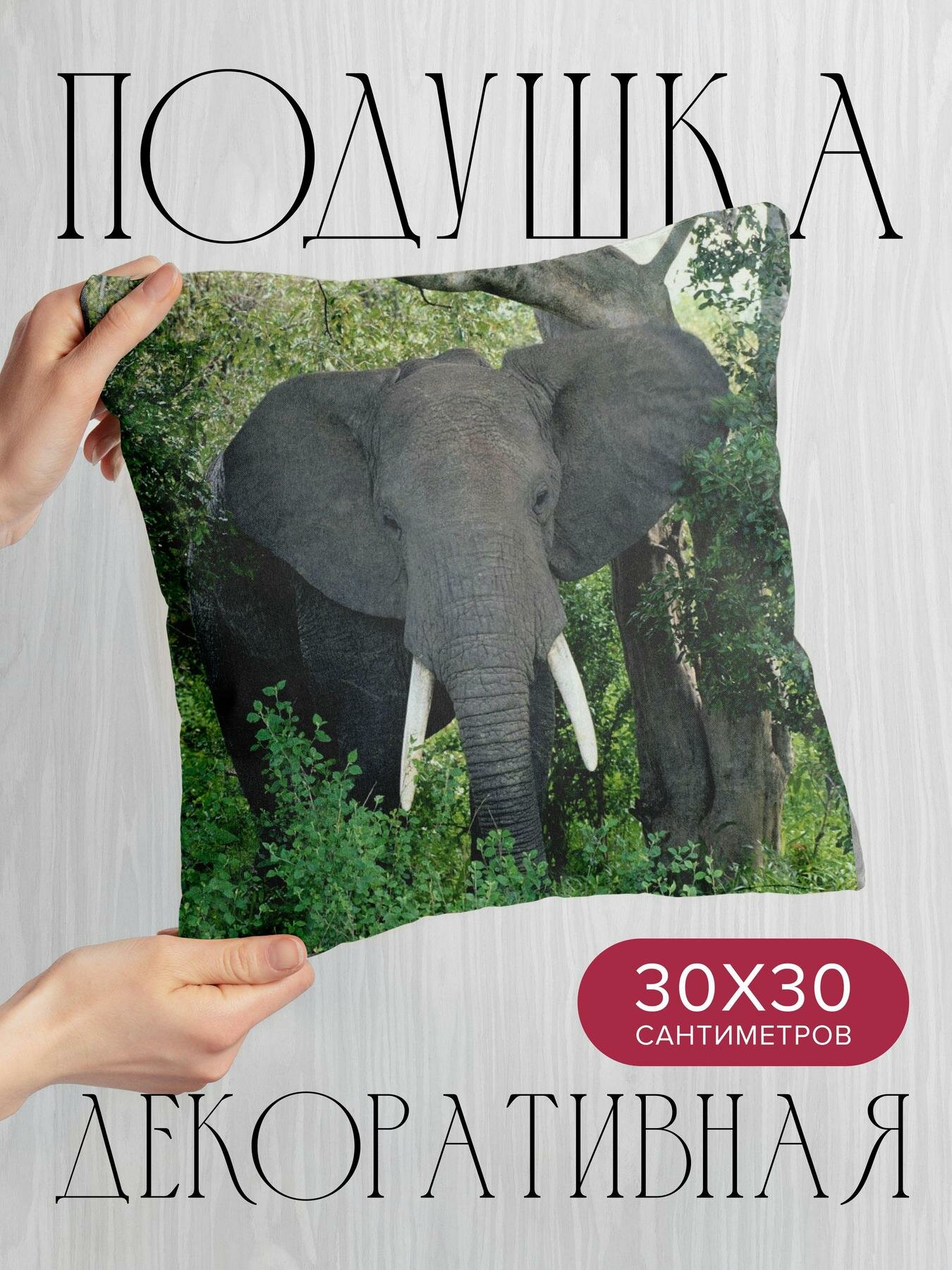 Подушка декоративная, 30x30см / Животные / слон / уши