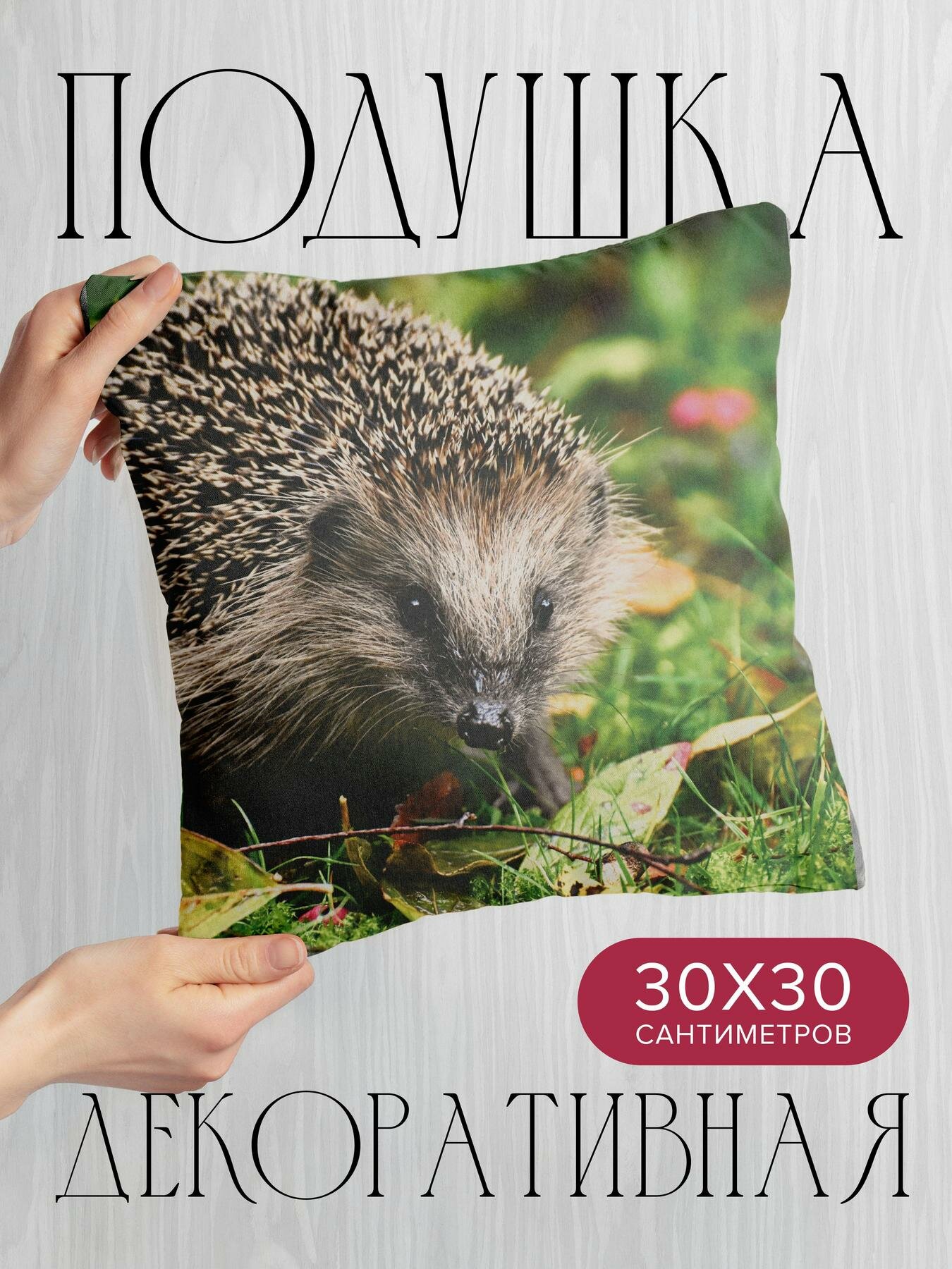 Подушка декоративная, 30x30см / Животные / ежик / еж