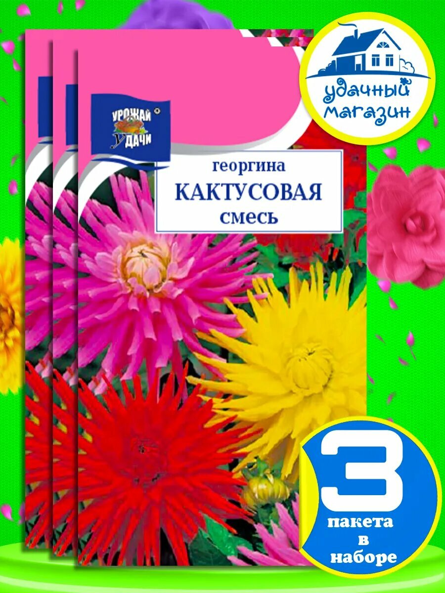 Семена георгины кактусовидные однолетние