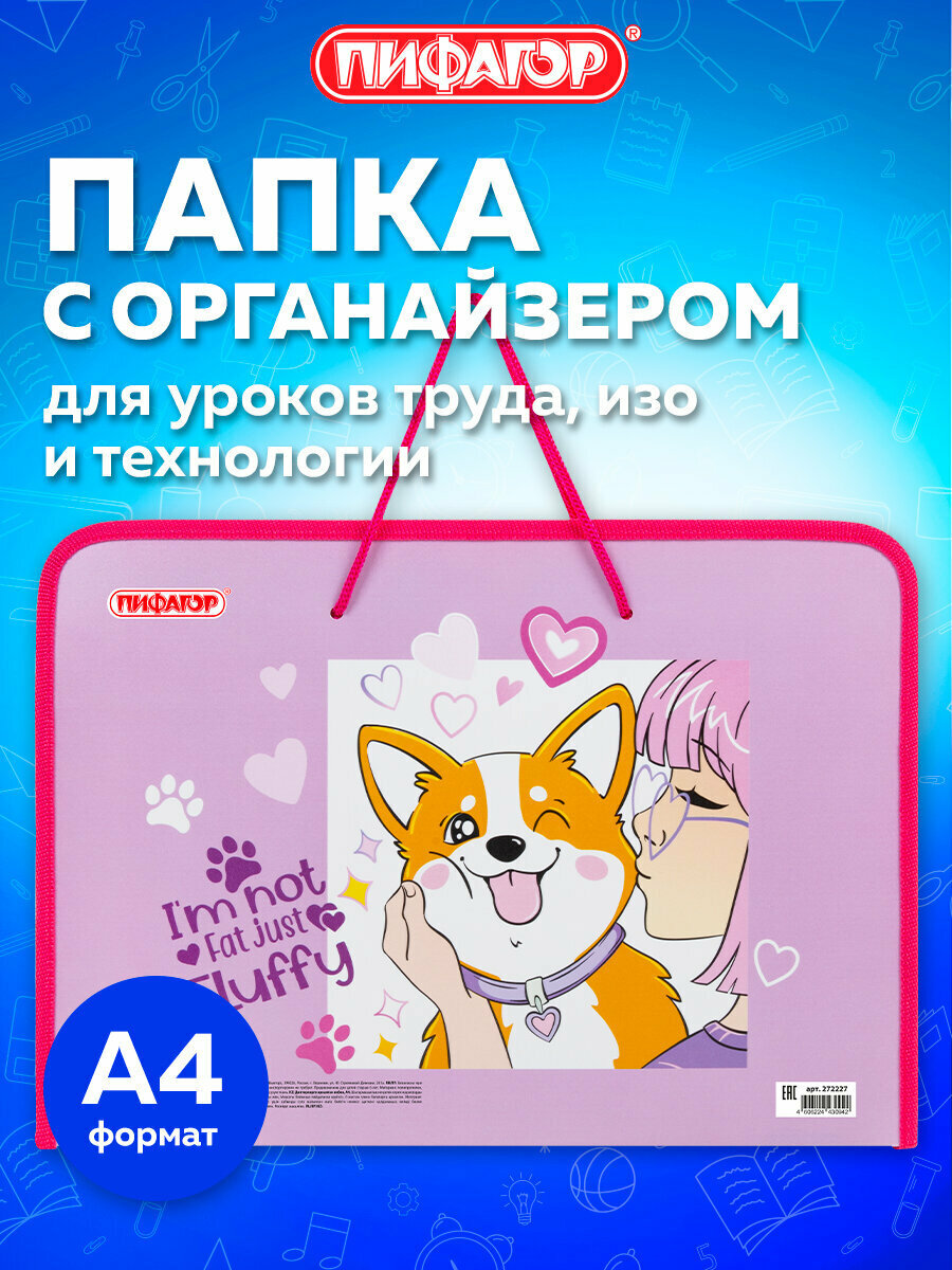 Папка для труда на молнии с ручками Пифагор А4, 1 отделение, пластик, органайзер, Fluffy akita, 272227
