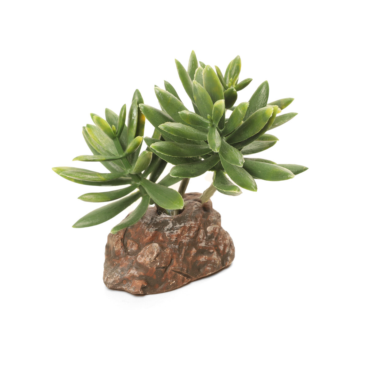 Декор для террариума растение "Хавортия", бренд Laguna TERRA, зелено-коричневое, размер 10*9*10