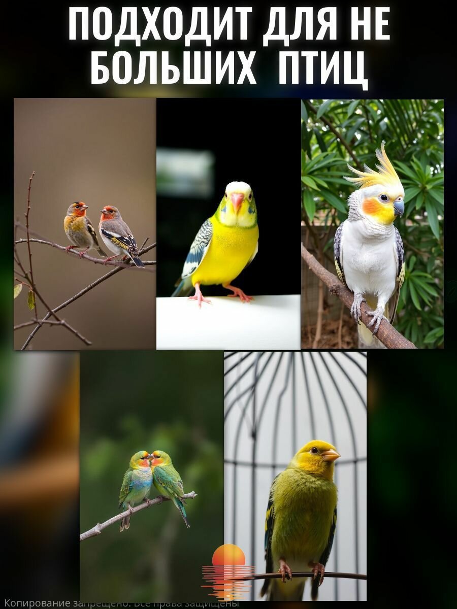 Уф лампа для птиц, попугаев, 2.4 UVB, 13вт