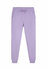 Брюки спортивные EA7 EMPORIO ARMANI, размер M, сиреневый
