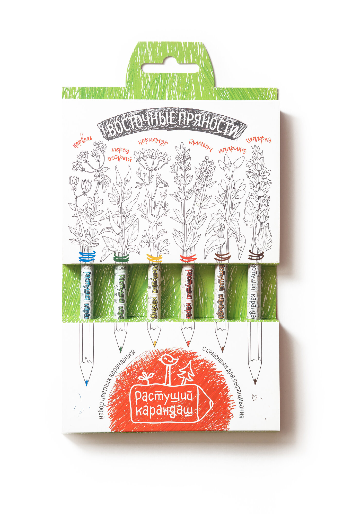 Эйфорд Набор цветных карандашей Восточные пряности 6 шт необычный подарок (RK-02-06-06)