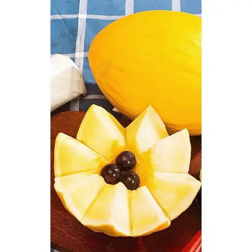 Семена дыни 'Ранняя Сладкая', 10 шт, стабильный урожай, холодостойкие