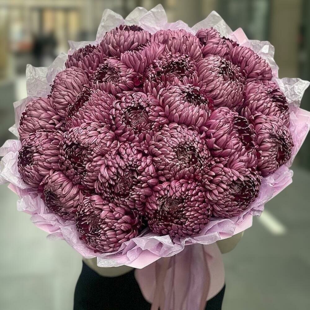 Букет из фиолетовых хризантем 25 шт, красивый букет цветов, шикарный, премиум цветы, премиум букет
