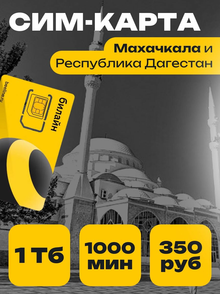 Сим-карта Билайн тариф Эксклюзивный Плюс Республика Дагестан 1000 Гб + 1000 минут за 350 руб.