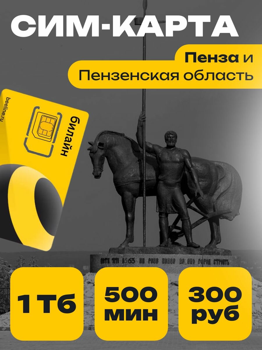 Сим-карта Билайн тариф Эксклюзивный Пензенская область 1000 Гб + 500 минут за 300 руб.