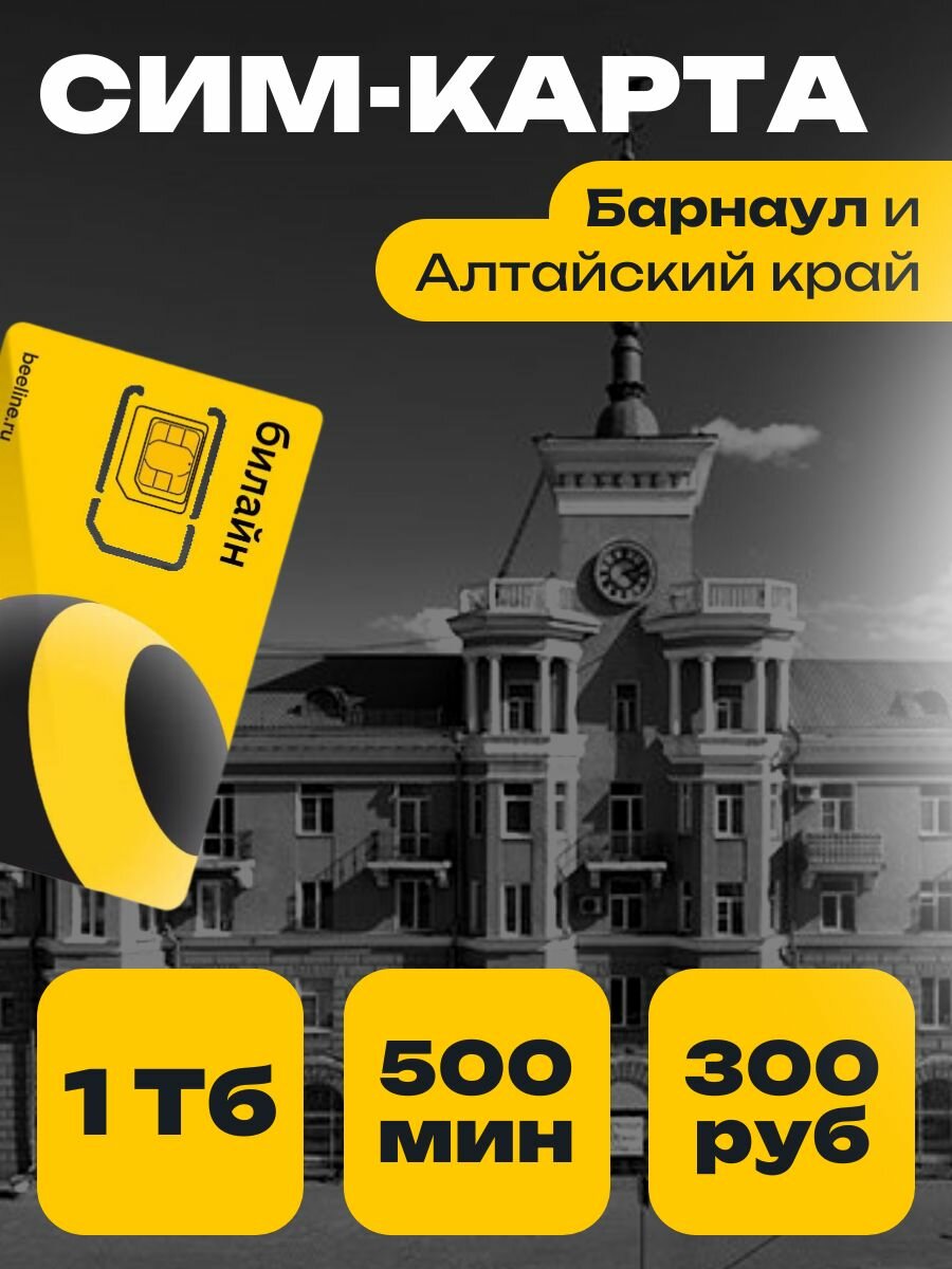 Сим-карта Билайн тариф Эксклюзивный Алтайский край 1000 Гб + 500 минут за 300 руб.
