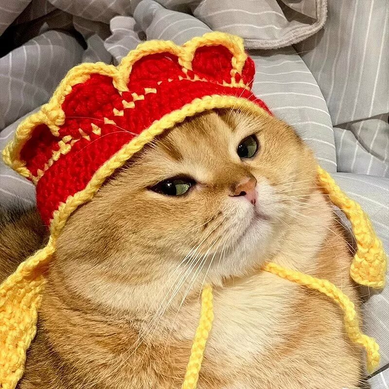 Зимняя вязаная шапка для кошек и собак - дизайн монаха-кота, средний размер, регулируемый ремешок, аксессуар для