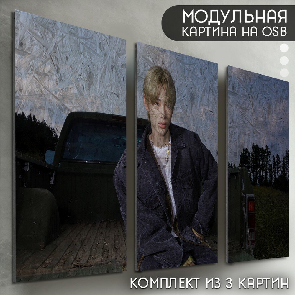 Модульная картина на рельефной доске ОСП "Музыка Enhypen (Хисын, Джей, Джейк, Сонхун, Сону, Чонвон Ни-Ки ) - 6504"