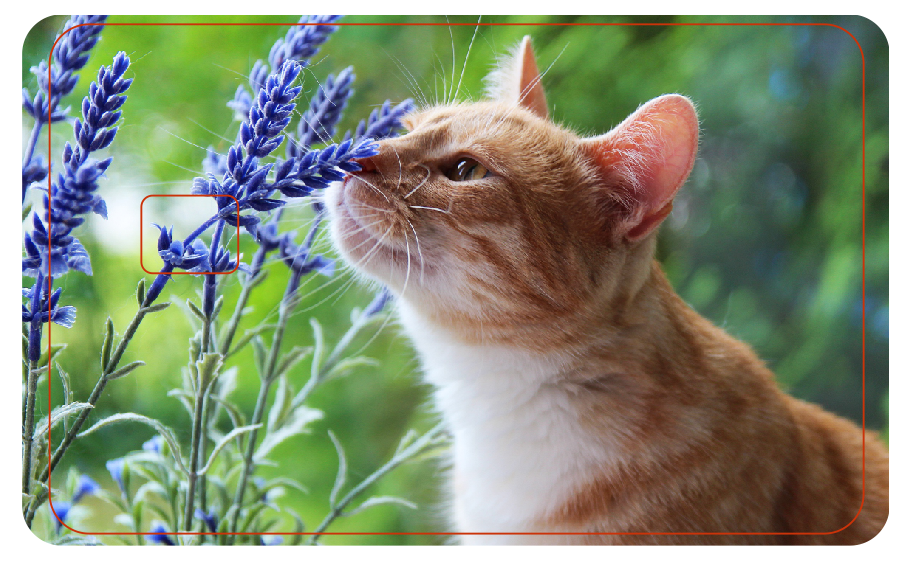 Наклейка на банковскую карту, стикер на карту, кошки