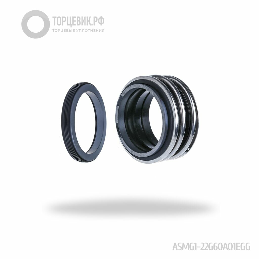 Торцевое уплотнение (сальник) MG1-22 (ASMG1-22) /G60 AQ1EGG