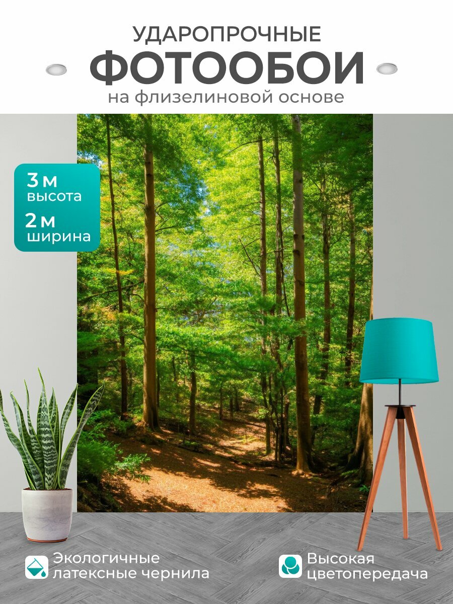 Фотообои моющиеся ударопрочные "Япония, летний лес с высокими деревьями и густой растительностью, создающий ощущение спокойствия. использовать стиль" 200x300 см. флизелиновые на стену