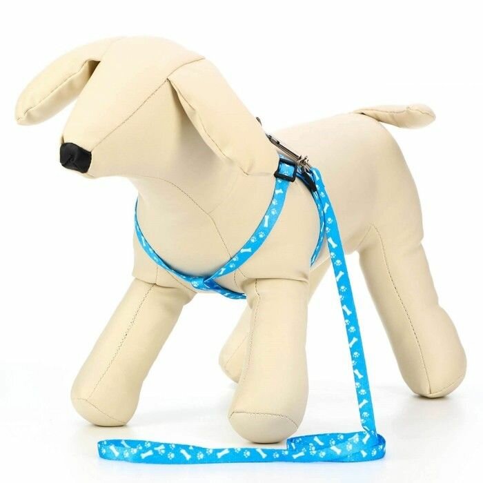 Шлейка для собак Пижон "Классика", капрон, 21-35 см, с поводком 120 см, синий