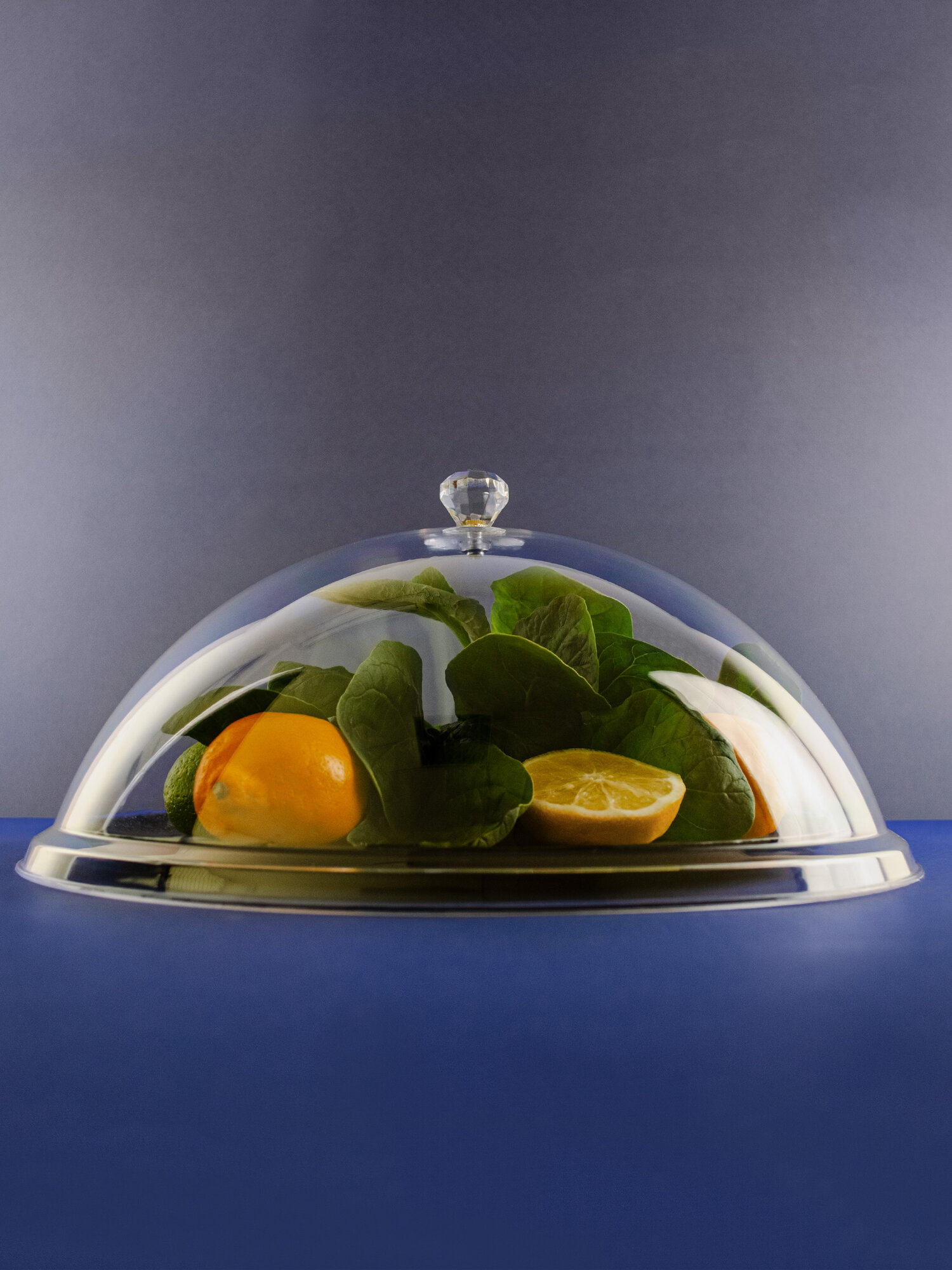 Прозрачная крышка-колпак пластиковая с ручкой для блюда, 36 см, Nouvelle