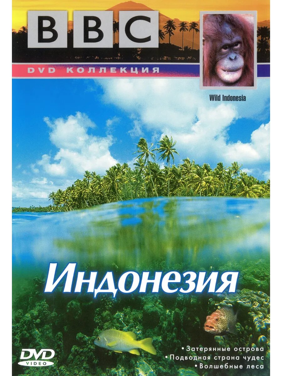 BBC: По странам и континентам. Индонезия (2000) (2 DVD)