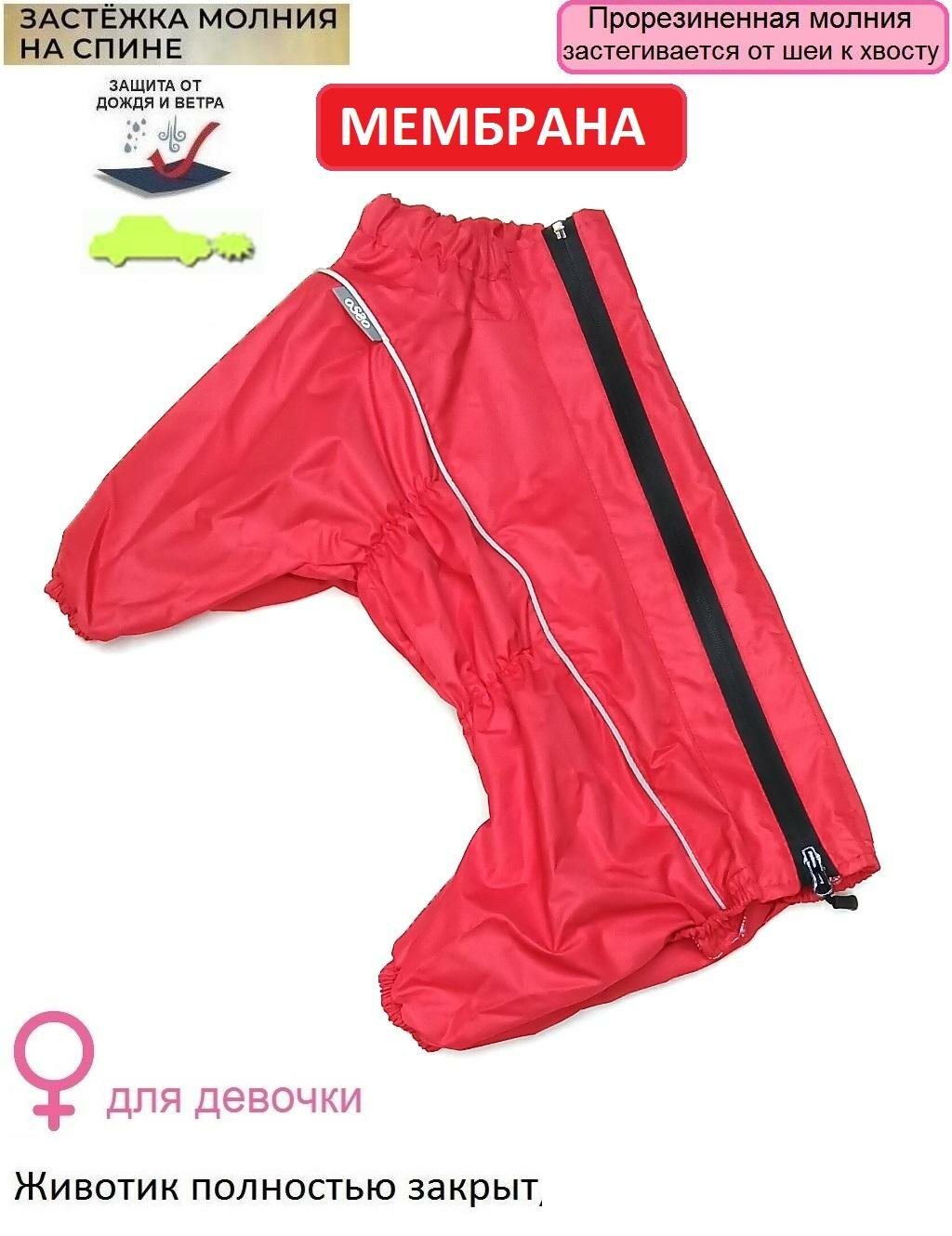 Комбинезон-дождевик для собак мембрана. Девочка. Красный (37-2 девочка)