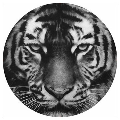 Чехол "Тигр", для запасного колеса, размер R15, полиэстер, экокожа