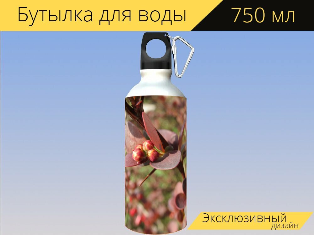 Бутылка фляга для воды "Берберис, барбарис, соцветие" 750 мл. с карабином и принтом