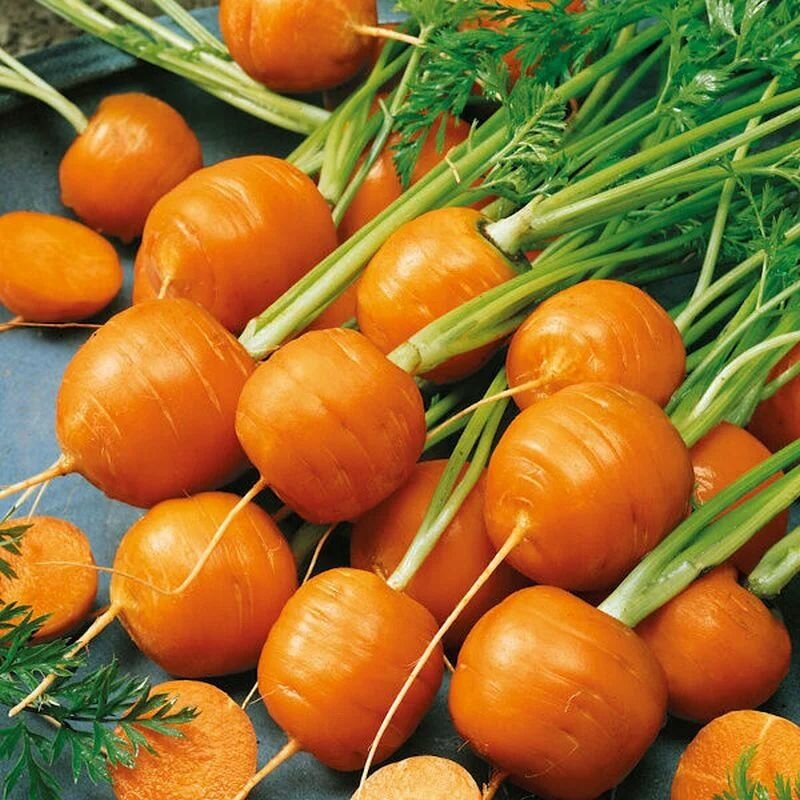 Коллекционные семена моркови Парижская каротель