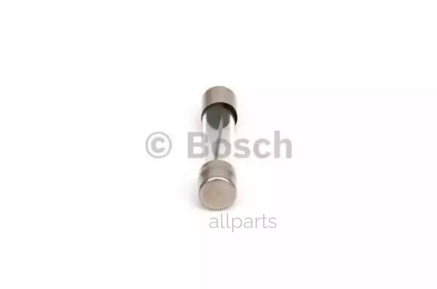 BOSCH 1 987 529 905 Предохранитель стекл.25а