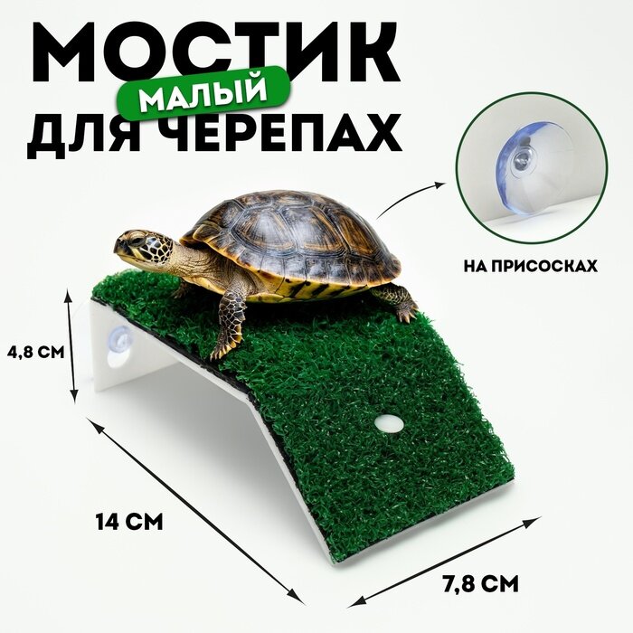 Мостик для черепах Малый Сима-Ленд, на присосках, пластик, 14x7,8x4,8см, зеленый, 1 шт