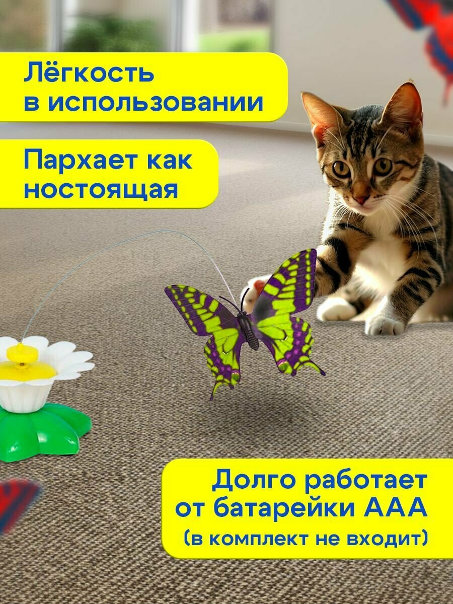 Игрушка для животных — фото 1