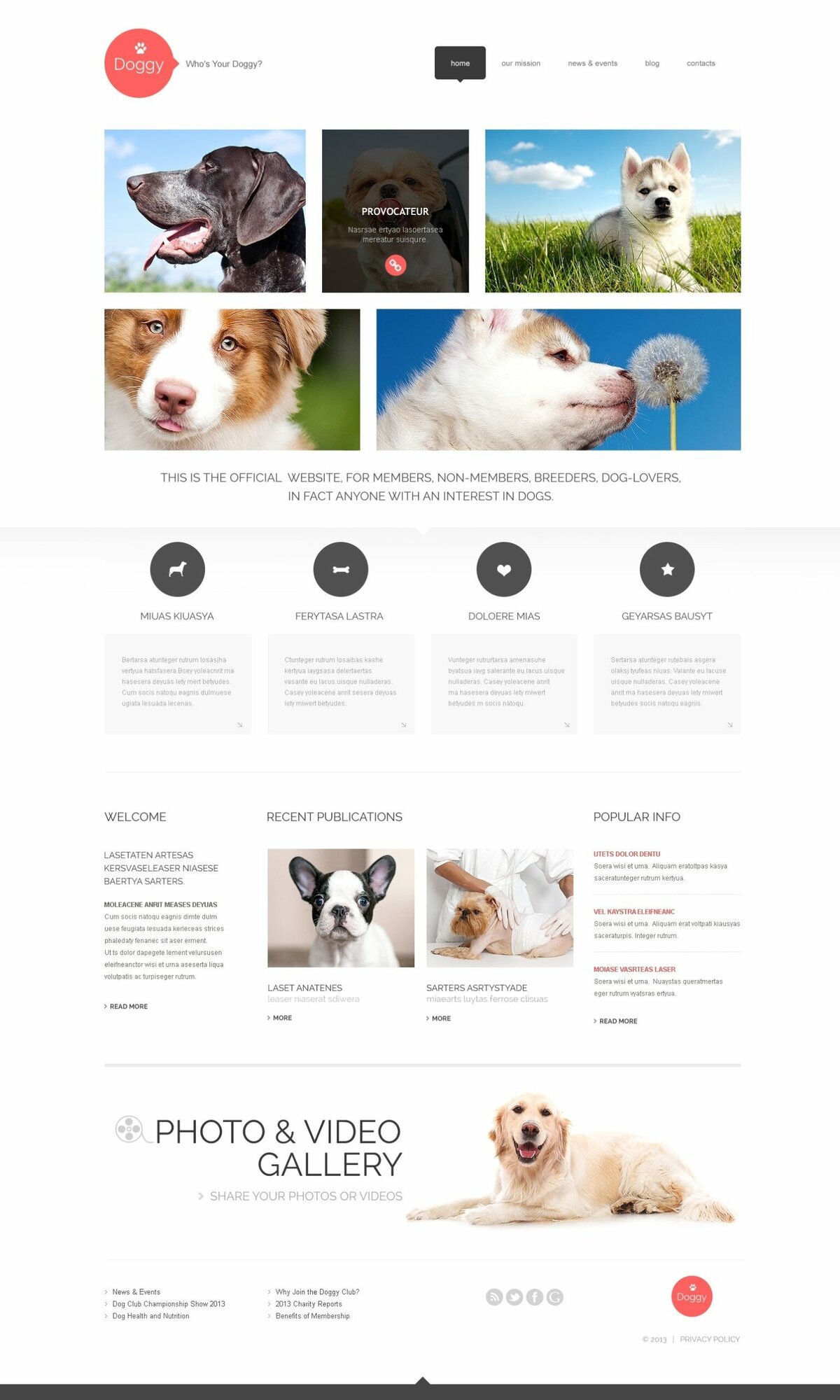 Подарочный сертификат на Шаблон для сайта Вордпресс с демоконтентом Dog Responsive WordPress Theme