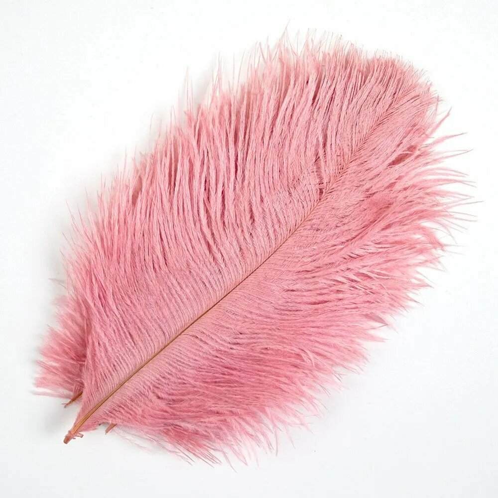 10 штук страуса перья 10-15 см для украшения свадебного платья