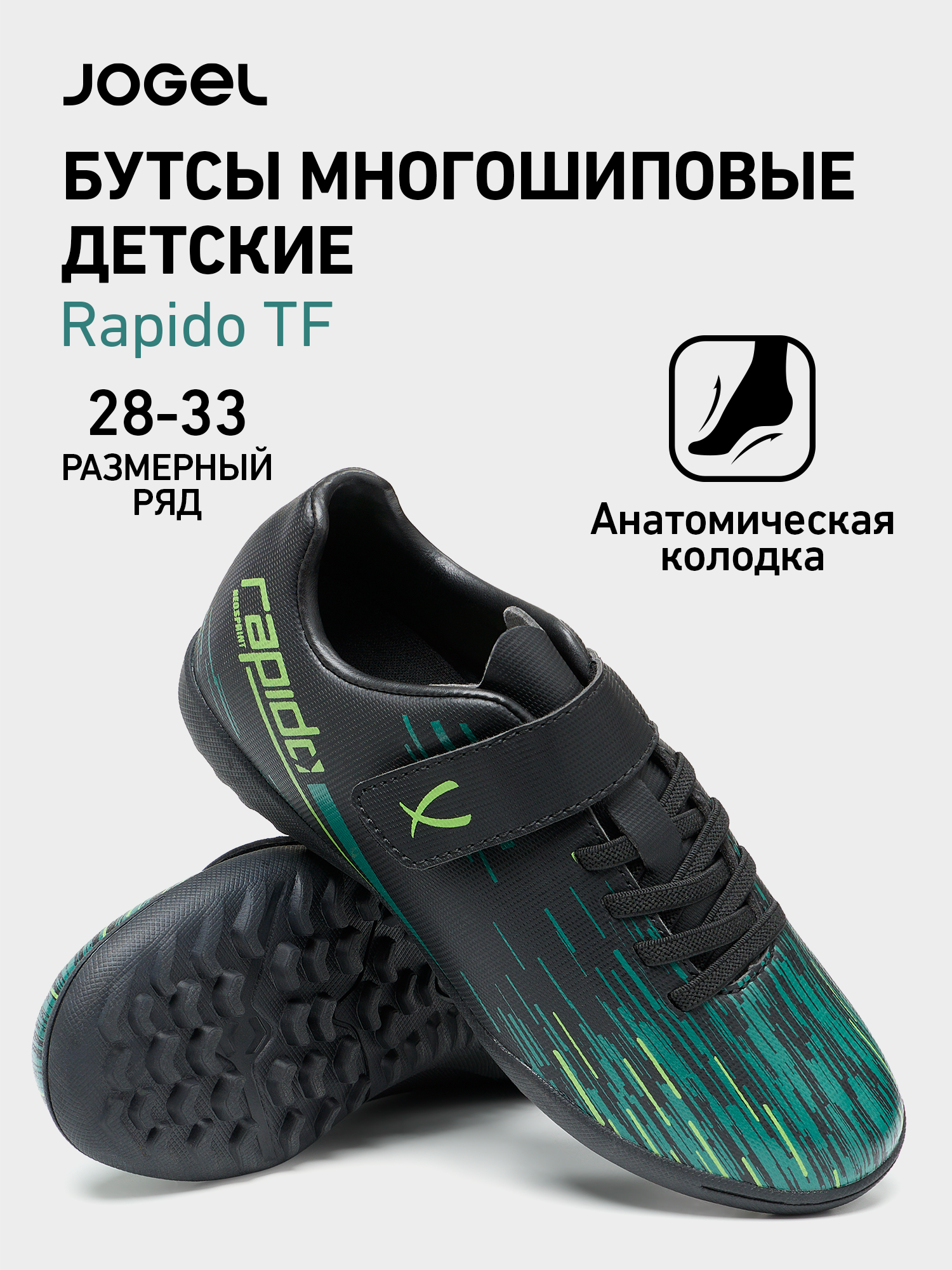 Сороконожки