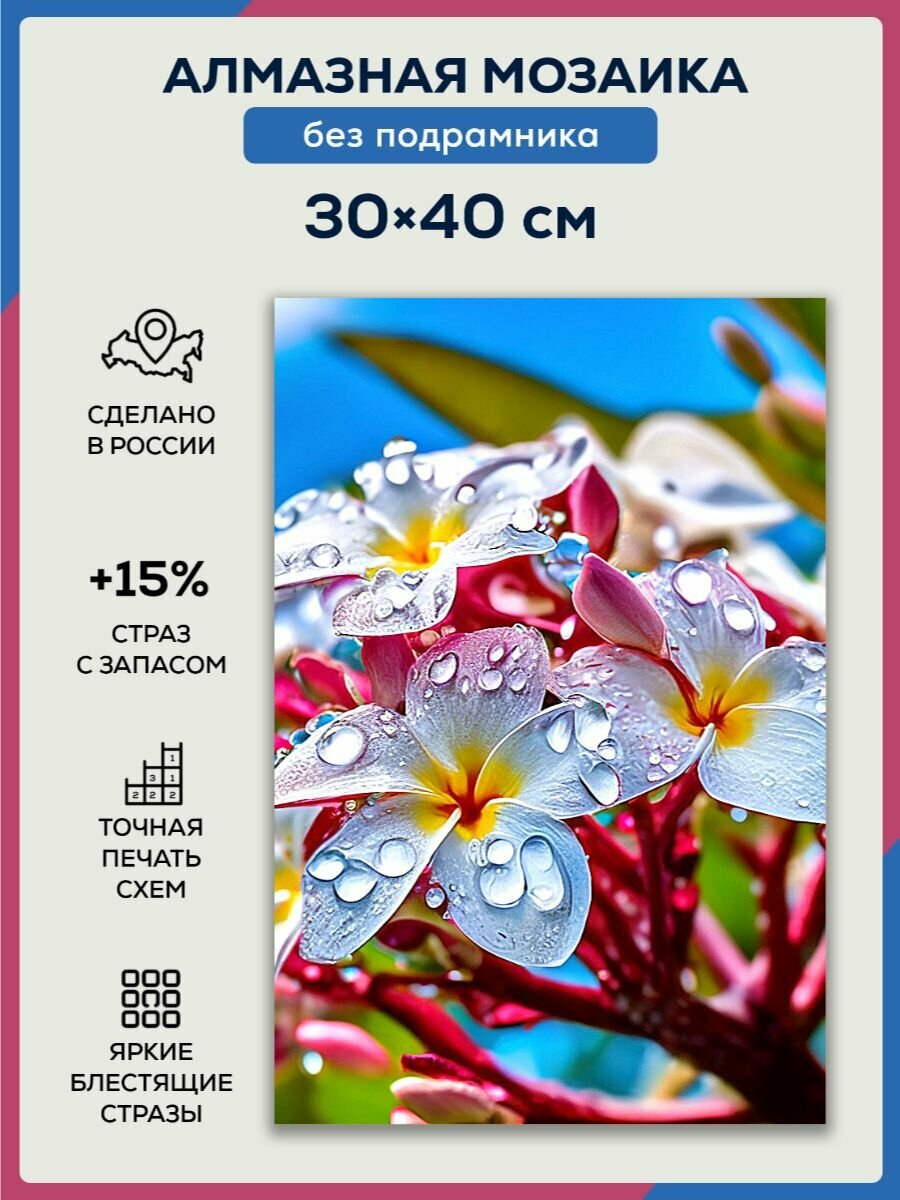 Алмазная мозаика 30x40 Цветы роса без подрамника