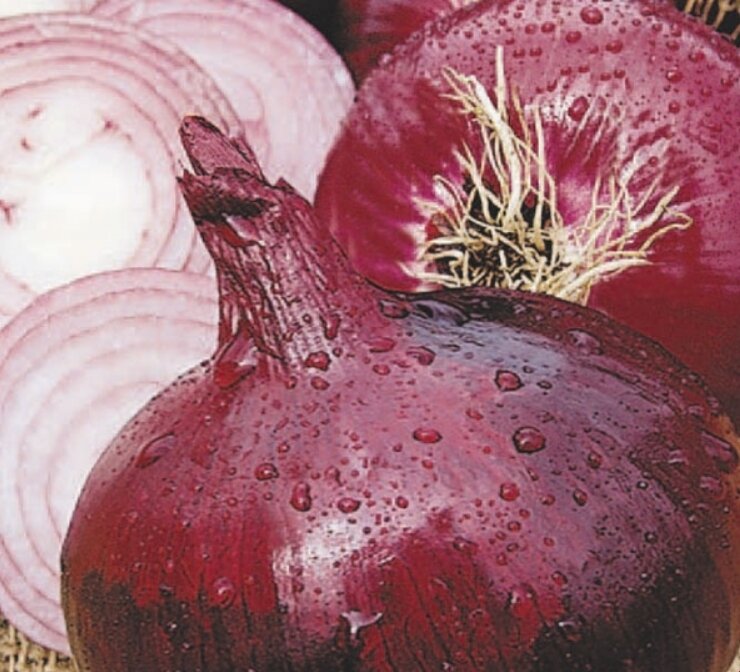 Лук-севок Кармен, 1 кг