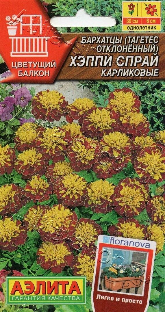 Бархатцы отклоненные (тагетес) Хэппи Спрай карликовые (3 упаковки), семена