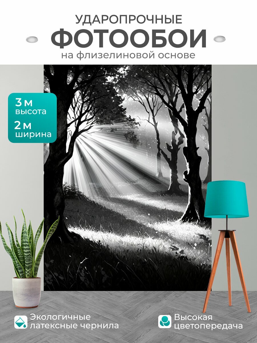 Фотообои моющиеся ударопрочные "Черно-белый с изображением спокойного просвета в лесу, где солнце пробивается сквозь рассеянные листья, создавая" 200x300 см. флизелиновые на стену