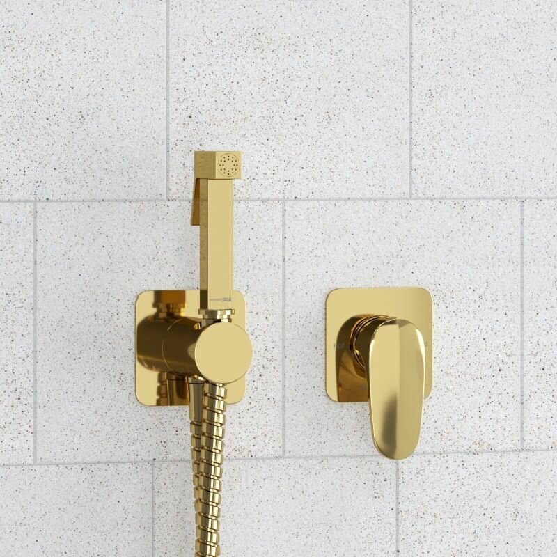 Гигиенический душ для унитаза со смесителем WasserKRAFT, Золото