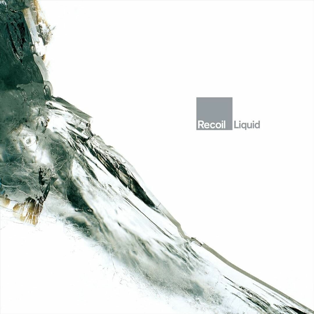 Виниловая пластинка Recoil / Liquid (2LP)