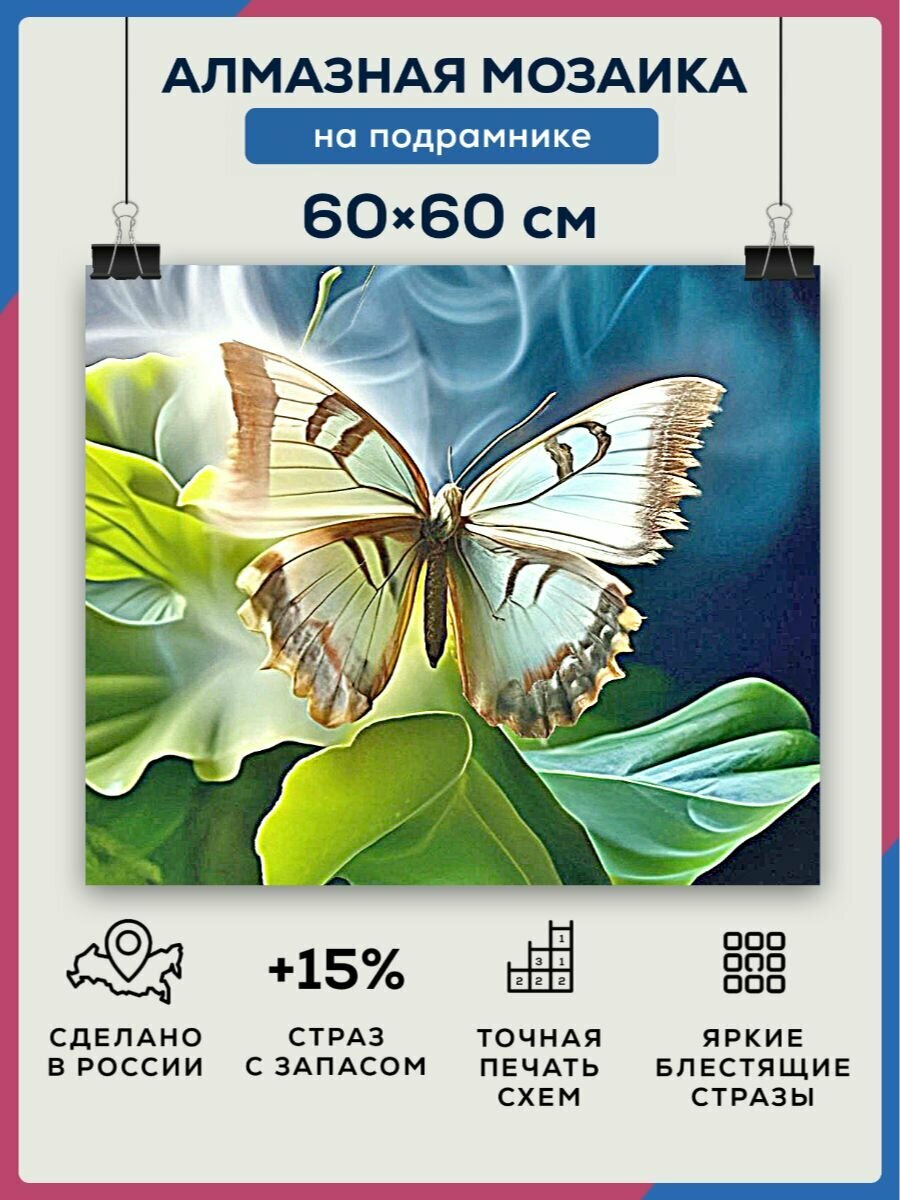 Алмазная мозаика 60x60 Бабочка насекомые на подрамнике