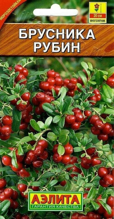 Семена растения Брусника Рубин